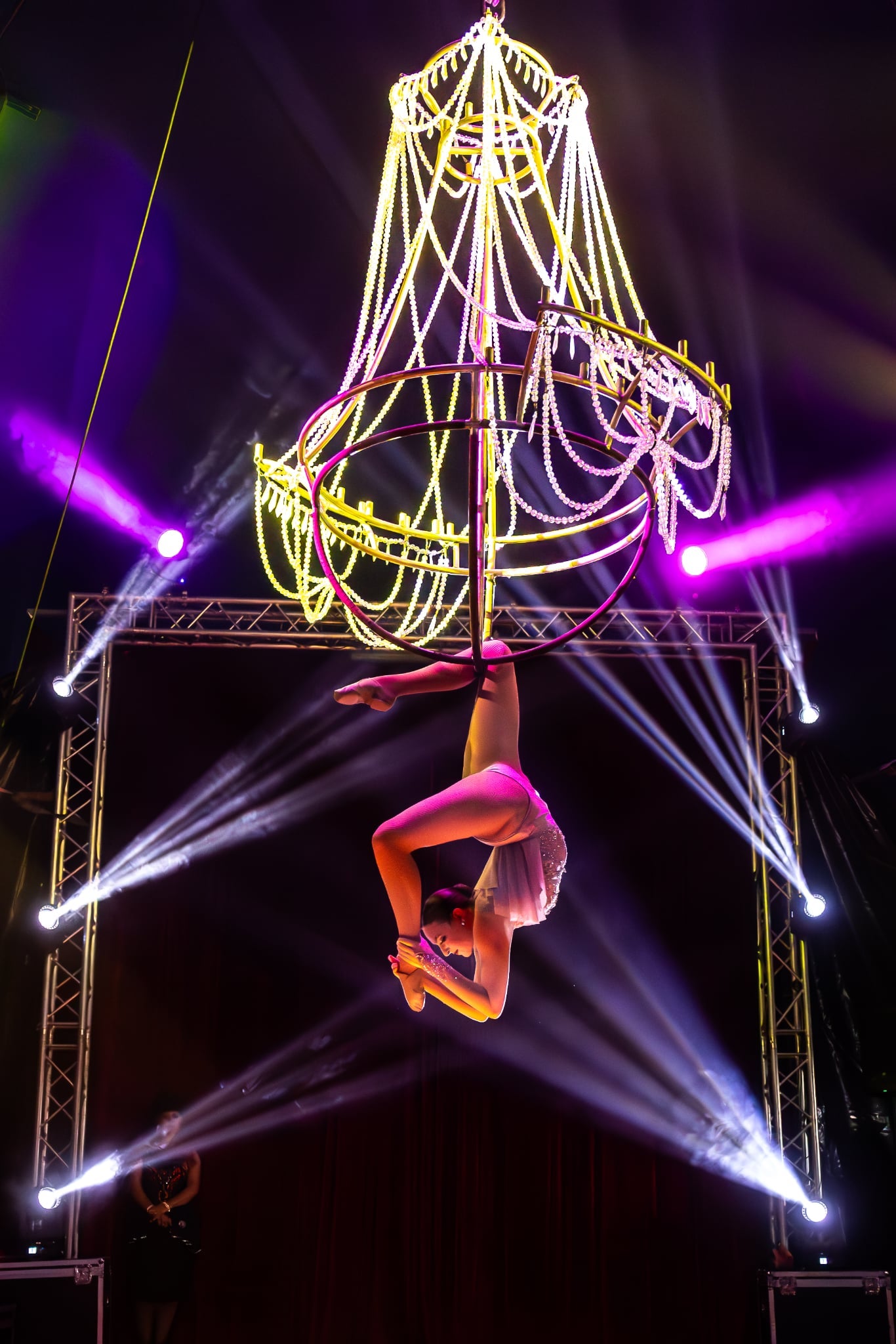 Brophy’s Circus